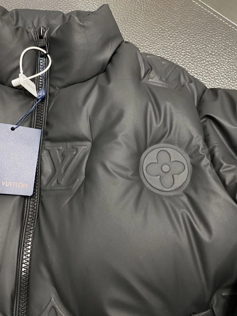 Inexpensive Louis Vuitton Down Jackets