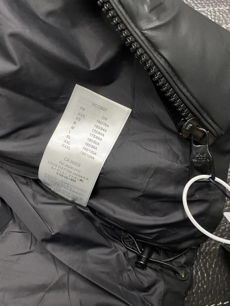 Inexpensive Louis Vuitton Down Jackets
