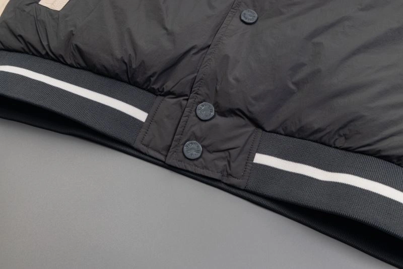 Official Louis Vuitton Down Jackets