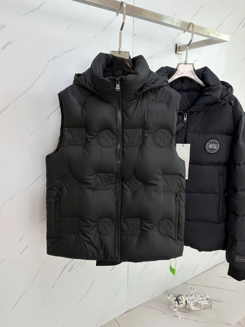 Louis Vuitton Down Jackets