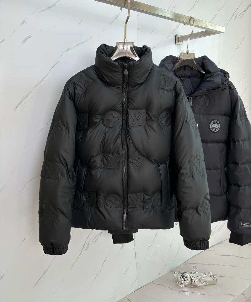 Louis Vuitton Down Jackets