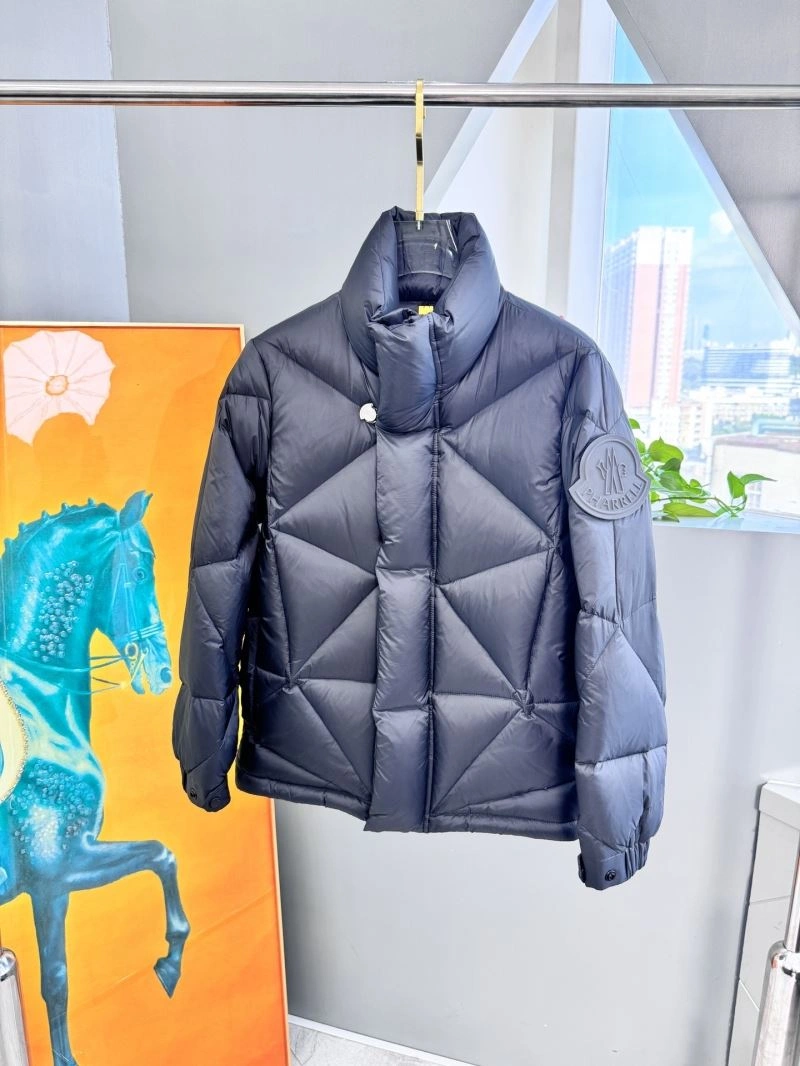 Louis Vuitton Down Jackets
