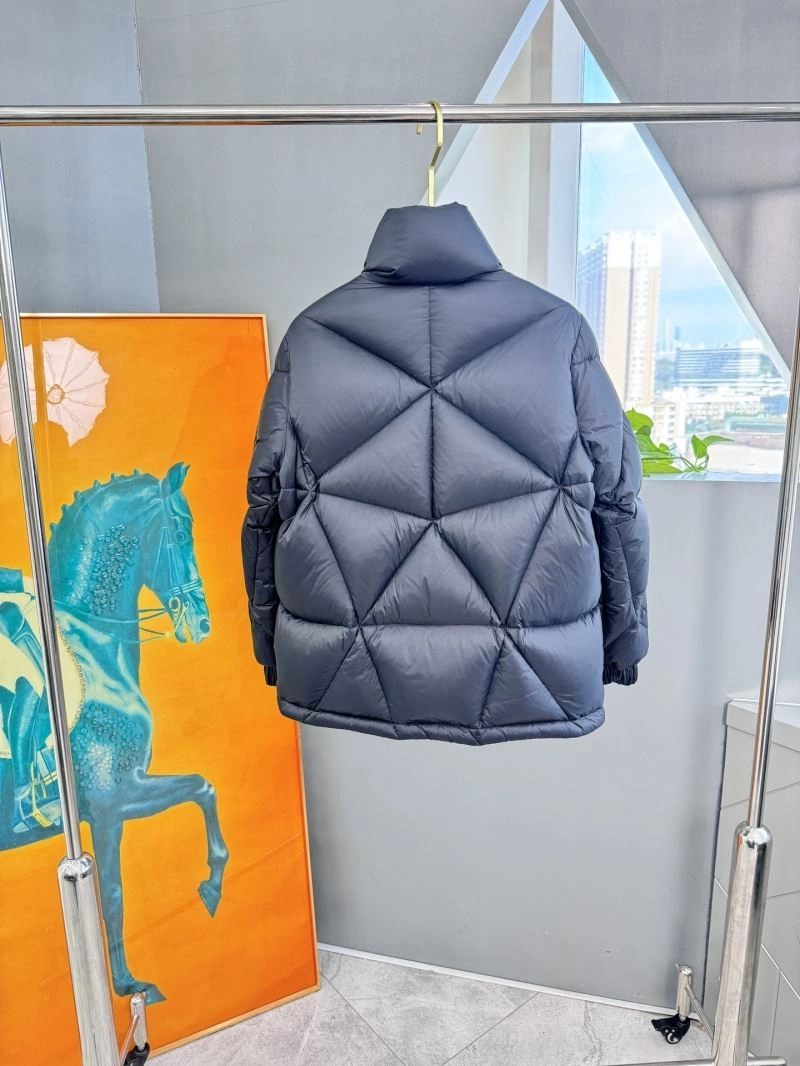 OEM Louis Vuitton Down Jackets