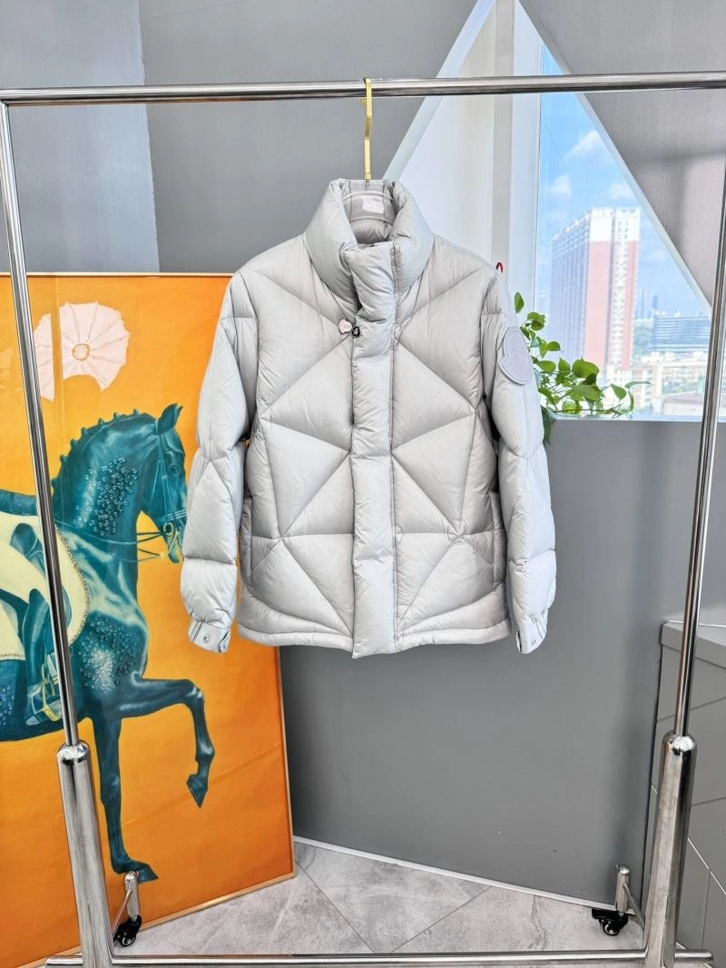 Louis Vuitton Down Jackets