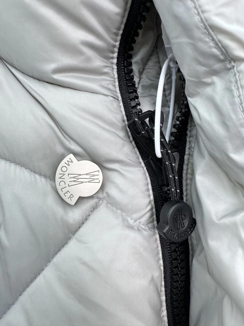 Reasonably priced Louis Vuitton Down Jackets