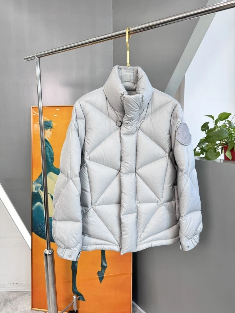 Reasonably priced Louis Vuitton Down Jackets