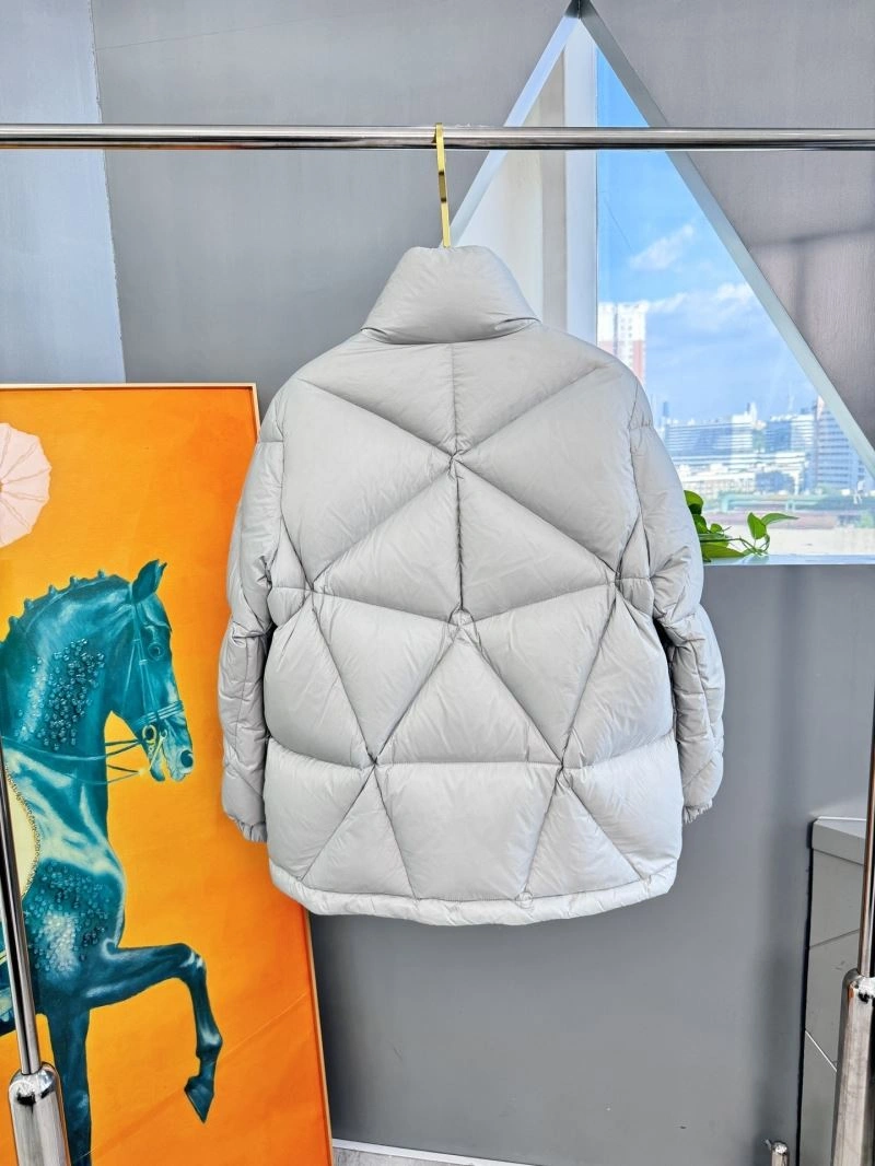 Reasonably priced Louis Vuitton Down Jackets