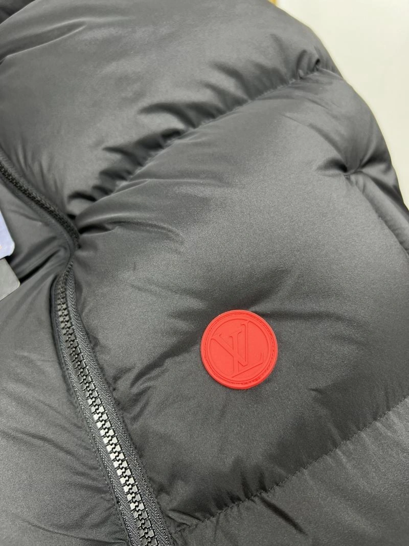 Reasonably priced Louis Vuitton Down Jackets