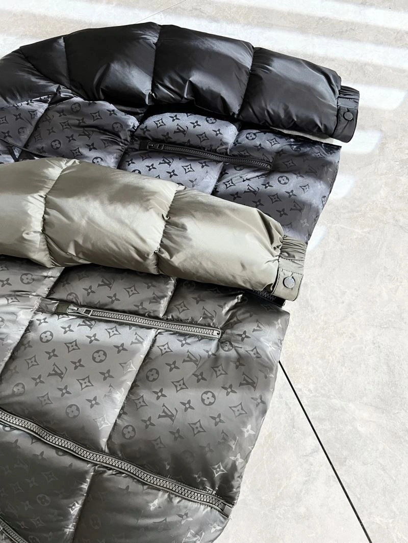 Inexpensive Louis Vuitton Down Jackets