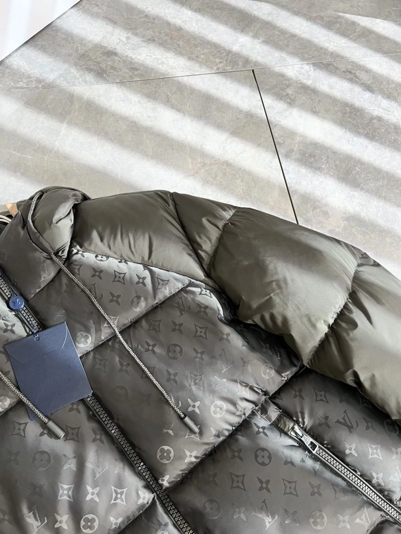 Inexpensive Louis Vuitton Down Jackets