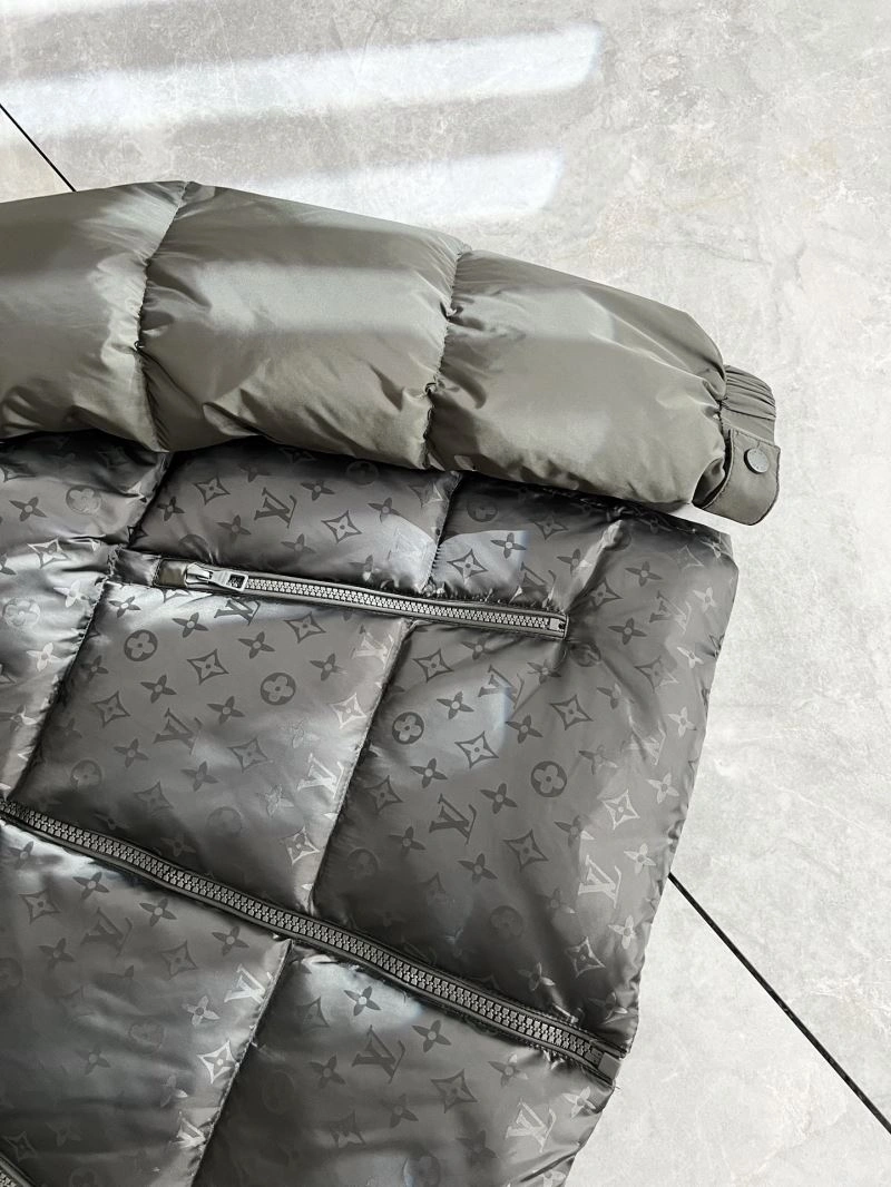 Inexpensive Louis Vuitton Down Jackets