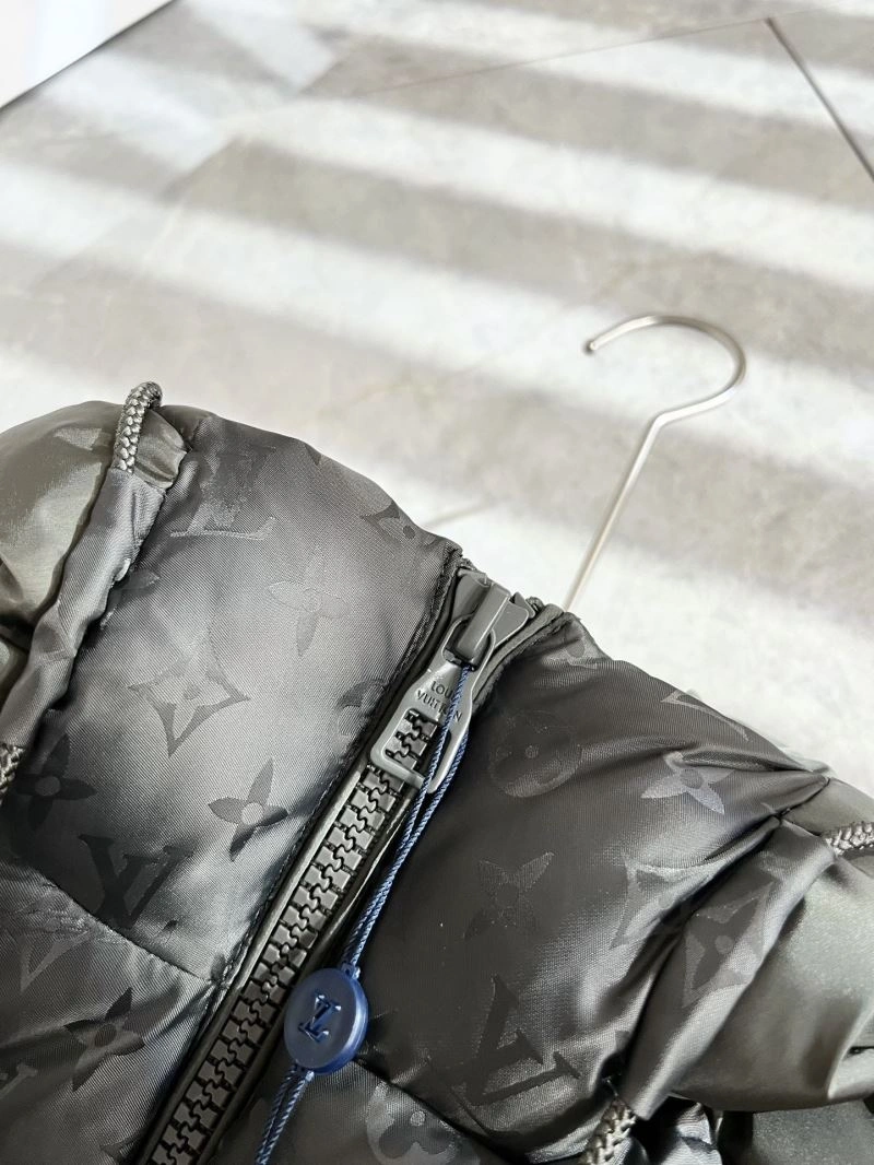 Inexpensive Louis Vuitton Down Jackets
