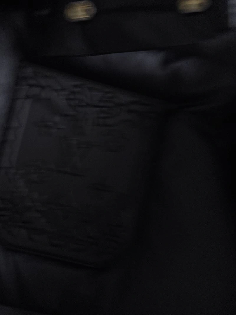 Budget-friendly Louis Vuitton Down Jackets