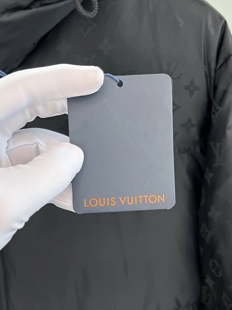 Precise copy Louis Vuitton Down Jackets