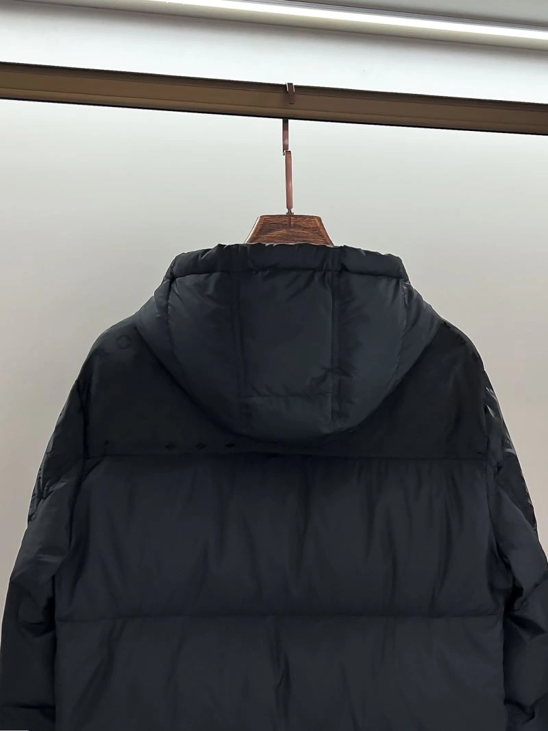 Accurate model Louis Vuitton Down Jackets
