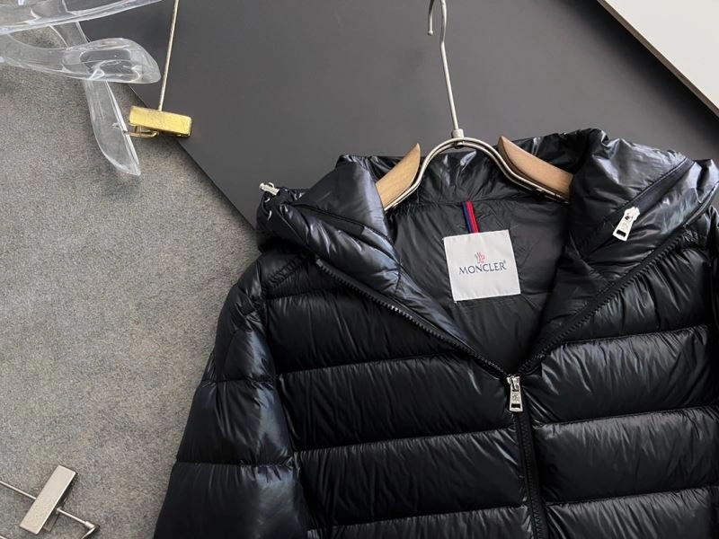 Mirror quality Louis Vuitton Down Jackets