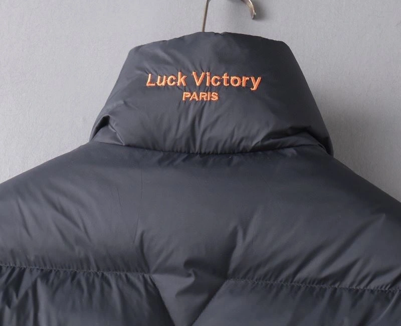Budget-friendly Louis Vuitton Down Jackets