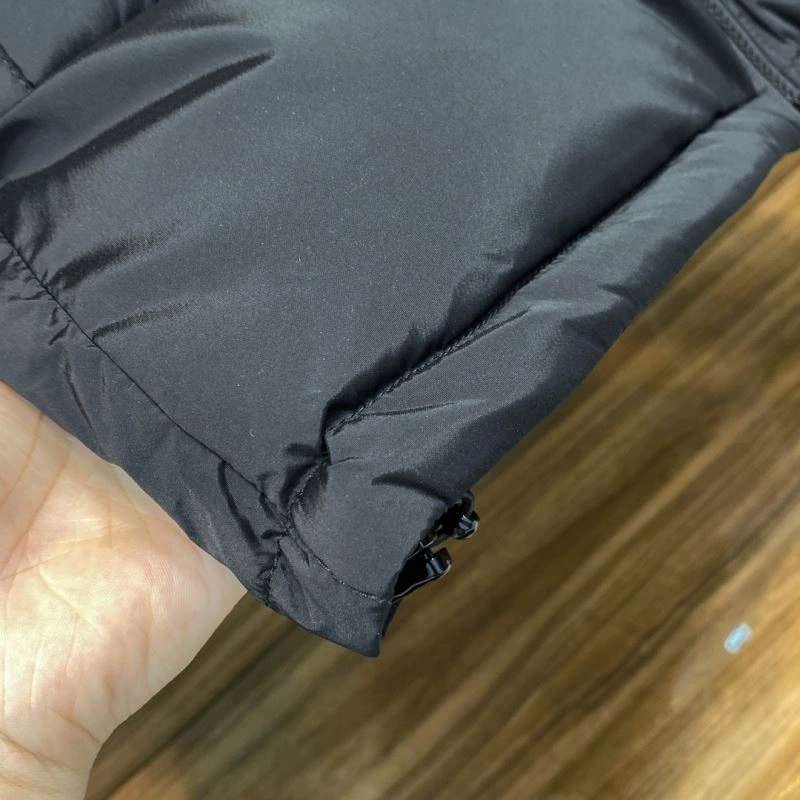 Cut-rate Louis Vuitton Down Jackets