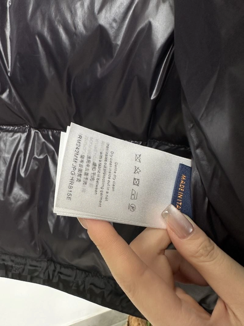 Economical Louis Vuitton Down Jackets
