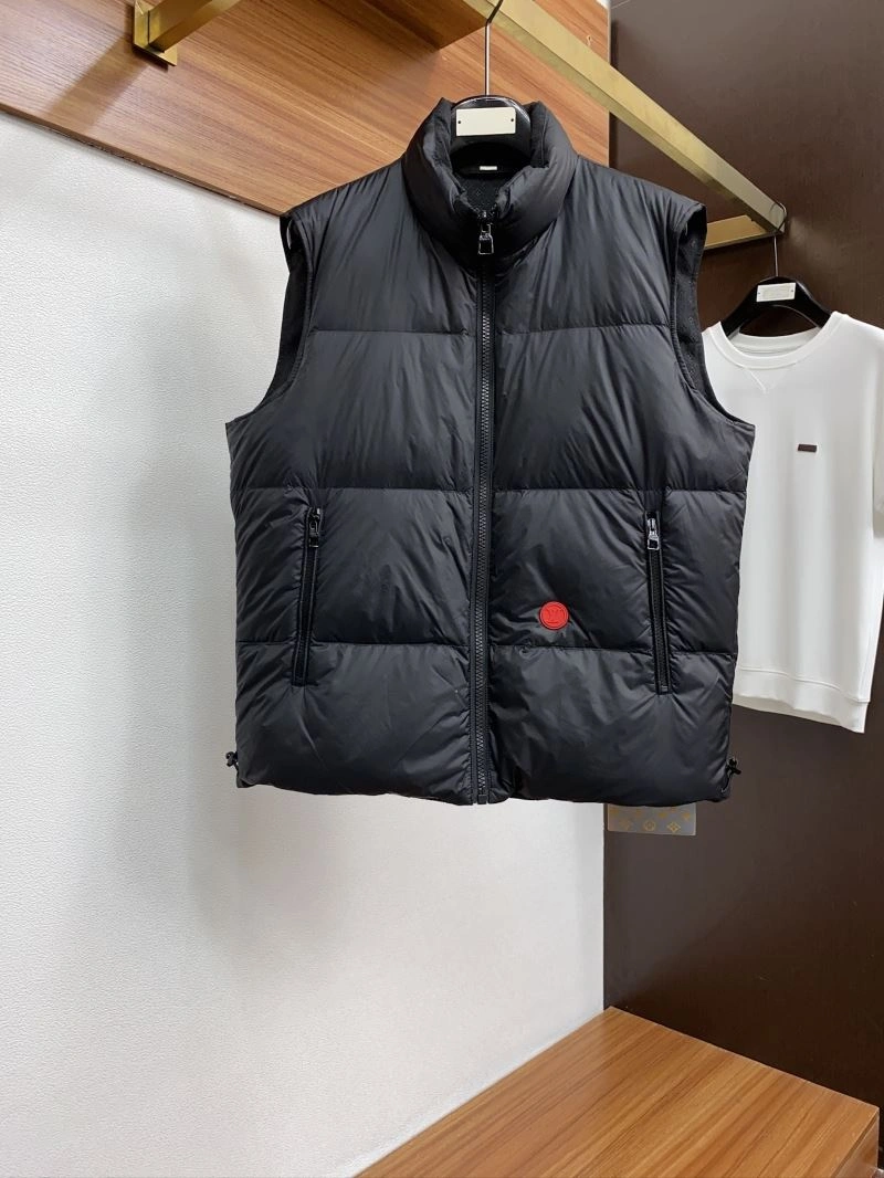 Louis Vuitton Down Jackets
