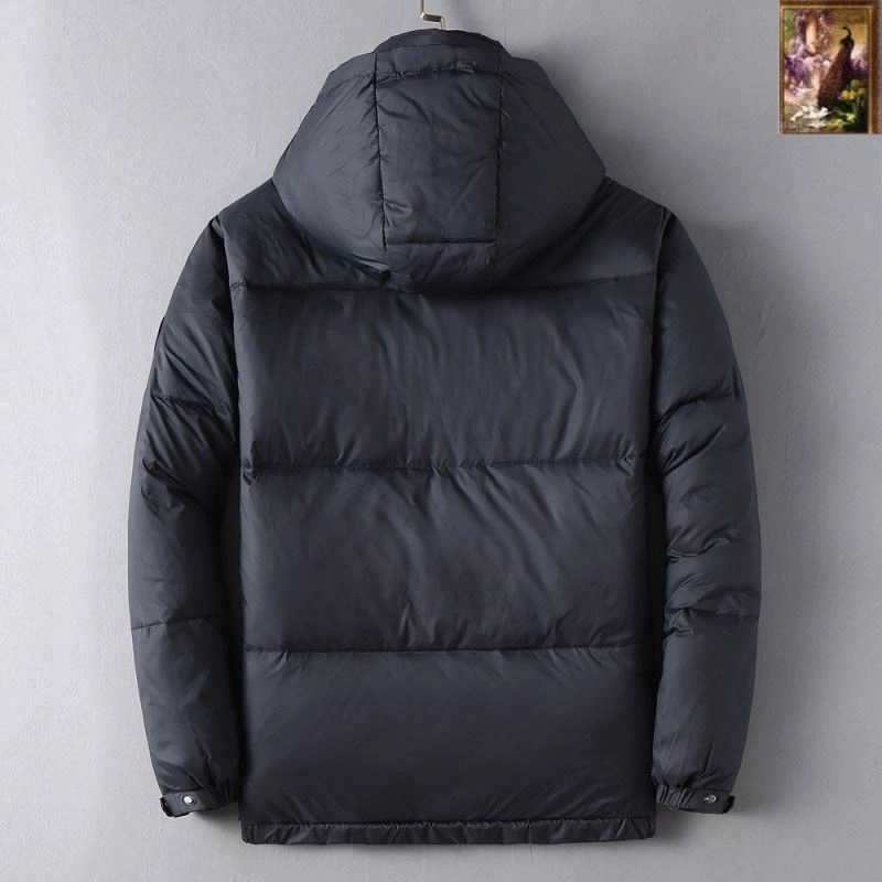 Accurate model Louis Vuitton Down Jackets