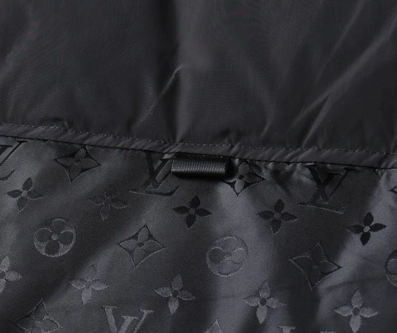 Cut-rate Louis Vuitton Down Jackets