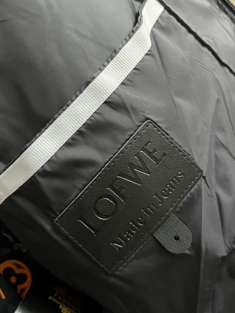 Factory-made Louis Vuitton Down Jackets