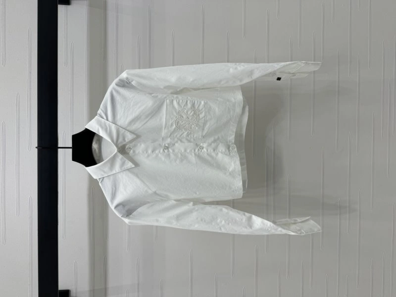 Reasonably priced Louis Vuitton Dress Suits