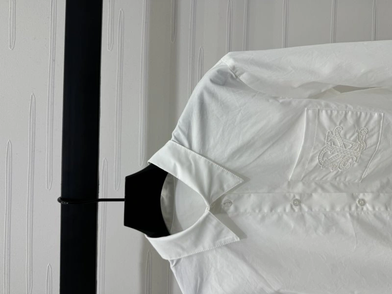 Reasonably priced Louis Vuitton Dress Suits