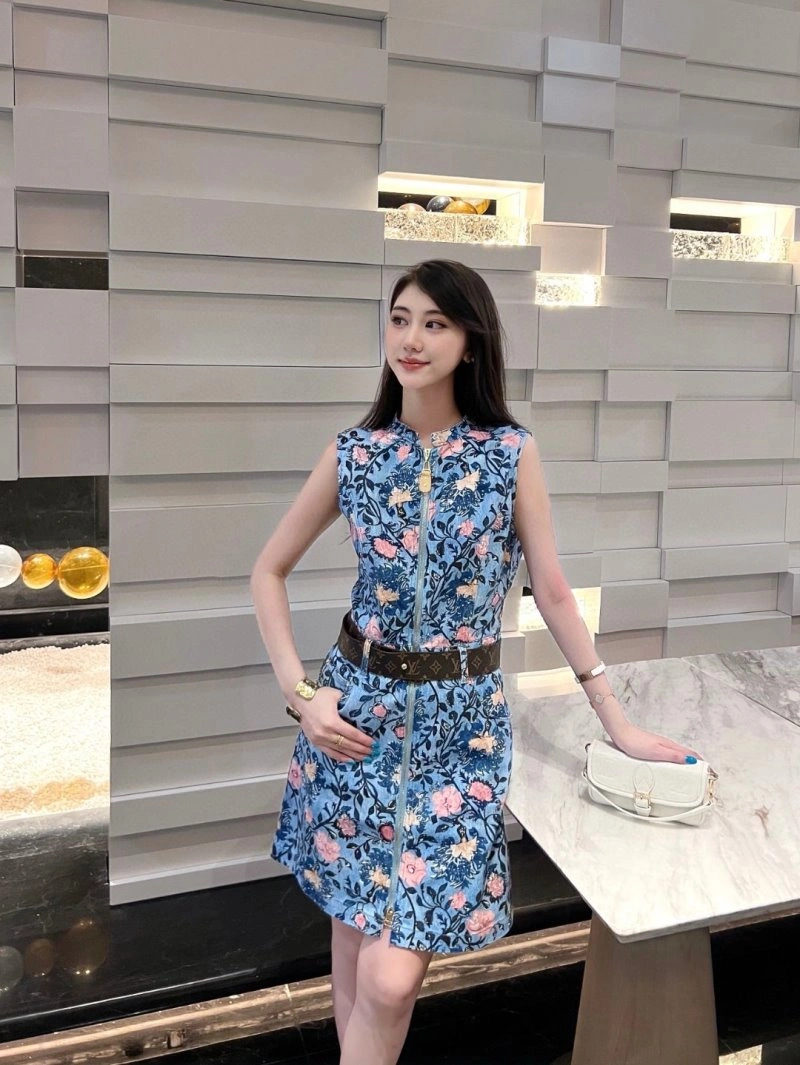Louis Vuitton Dress