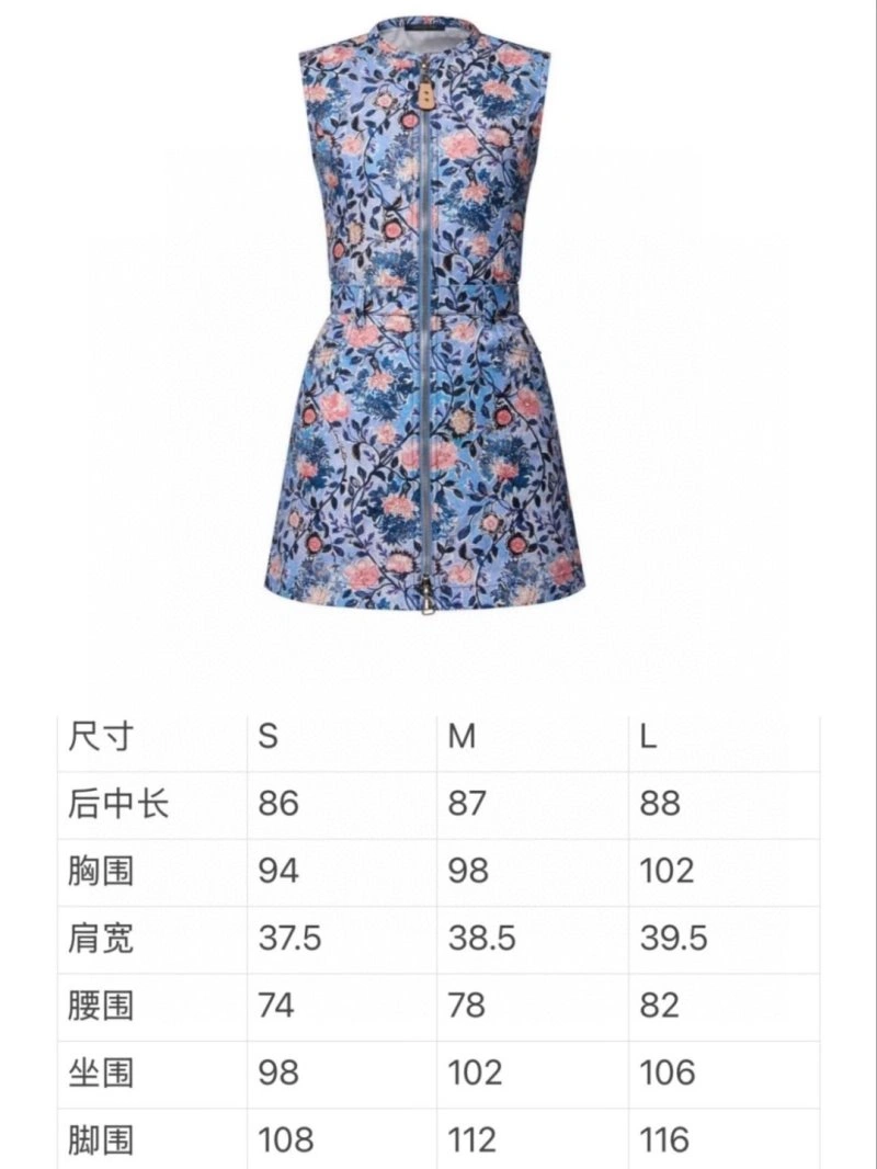 Inexpensive Louis Vuitton Dress