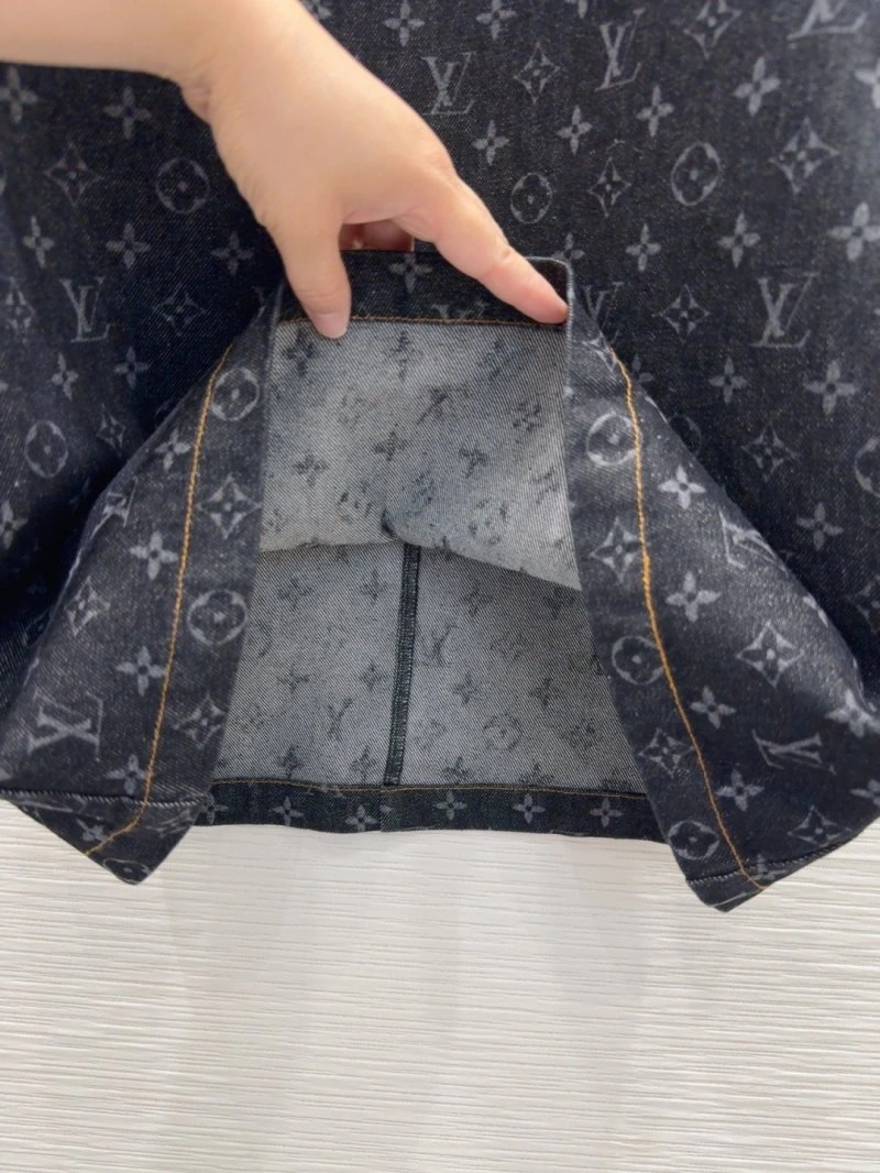Accurate model Louis Vuitton Dress