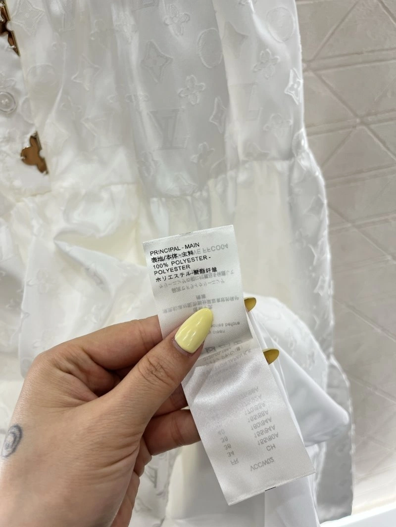 Accurate model Louis Vuitton Dress