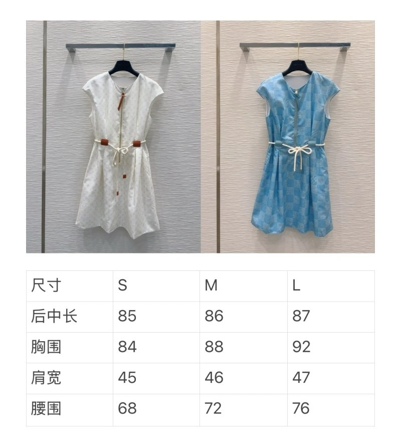 Cut-rate Louis Vuitton Dress
