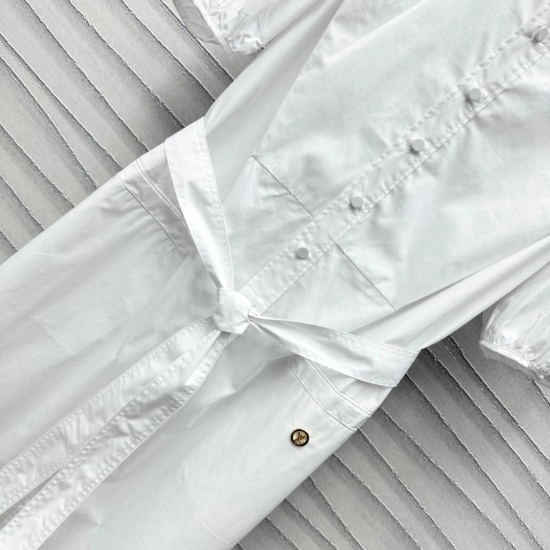 Budget-friendly Louis Vuitton Dress