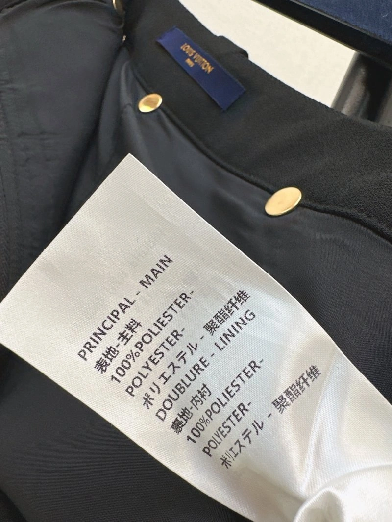 Accurate model Louis Vuitton Dress