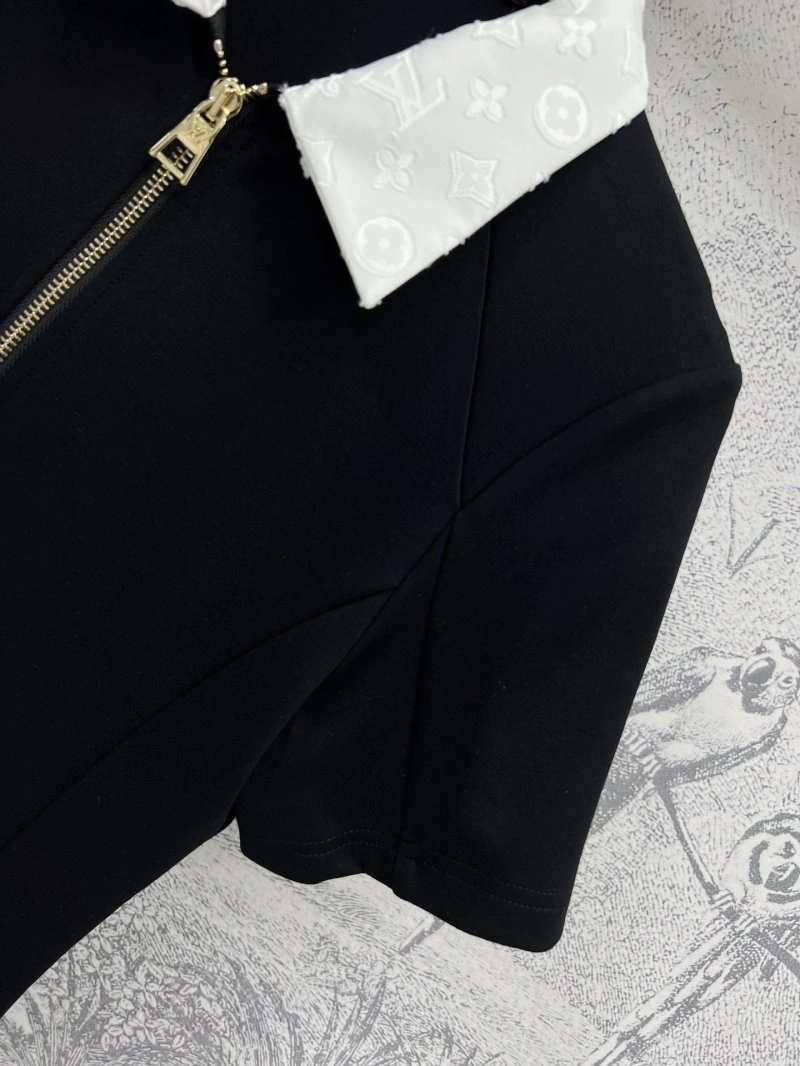 Economical Louis Vuitton Dress