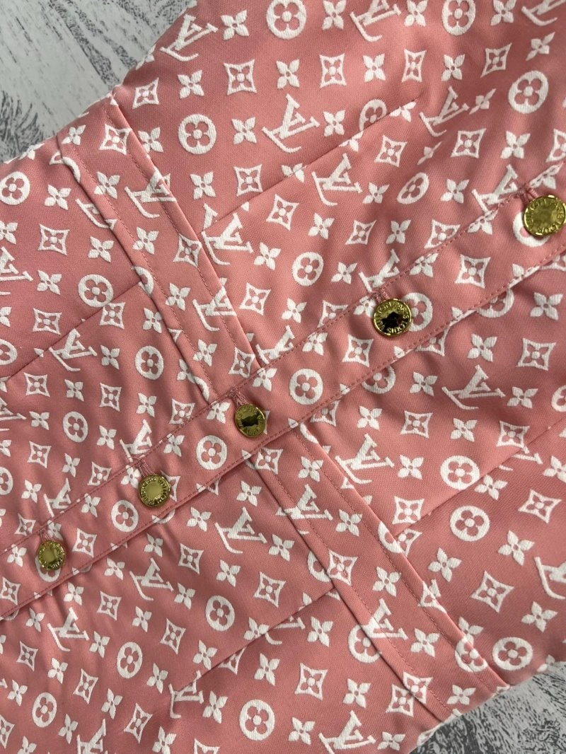 Accurate model Louis Vuitton Dress