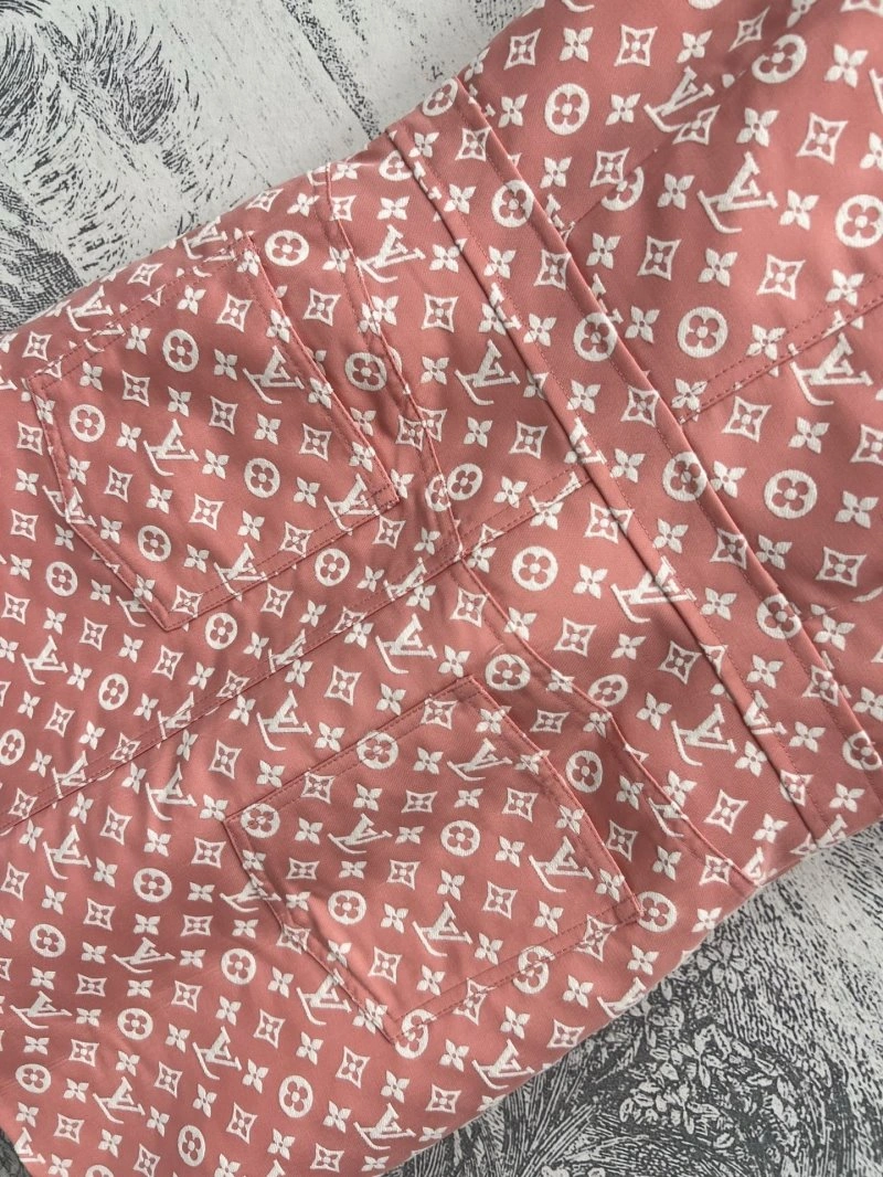 Accurate model Louis Vuitton Dress