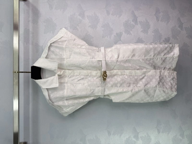 Louis Vuitton Dress