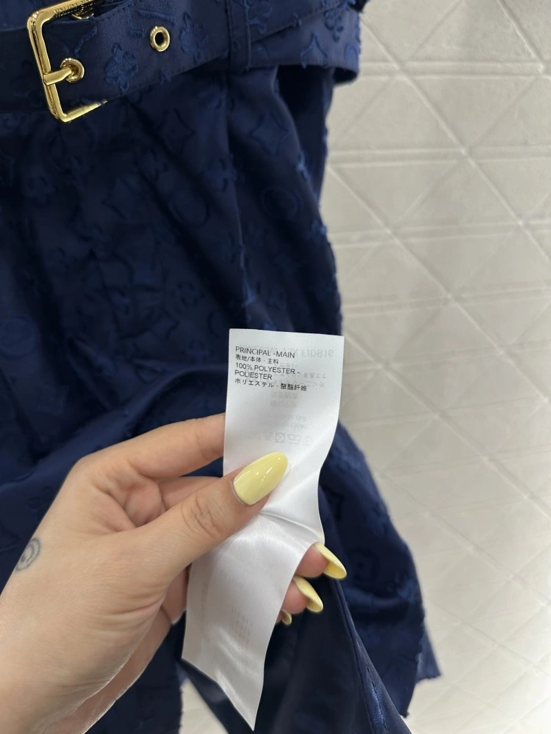 Accurate model Louis Vuitton Dress