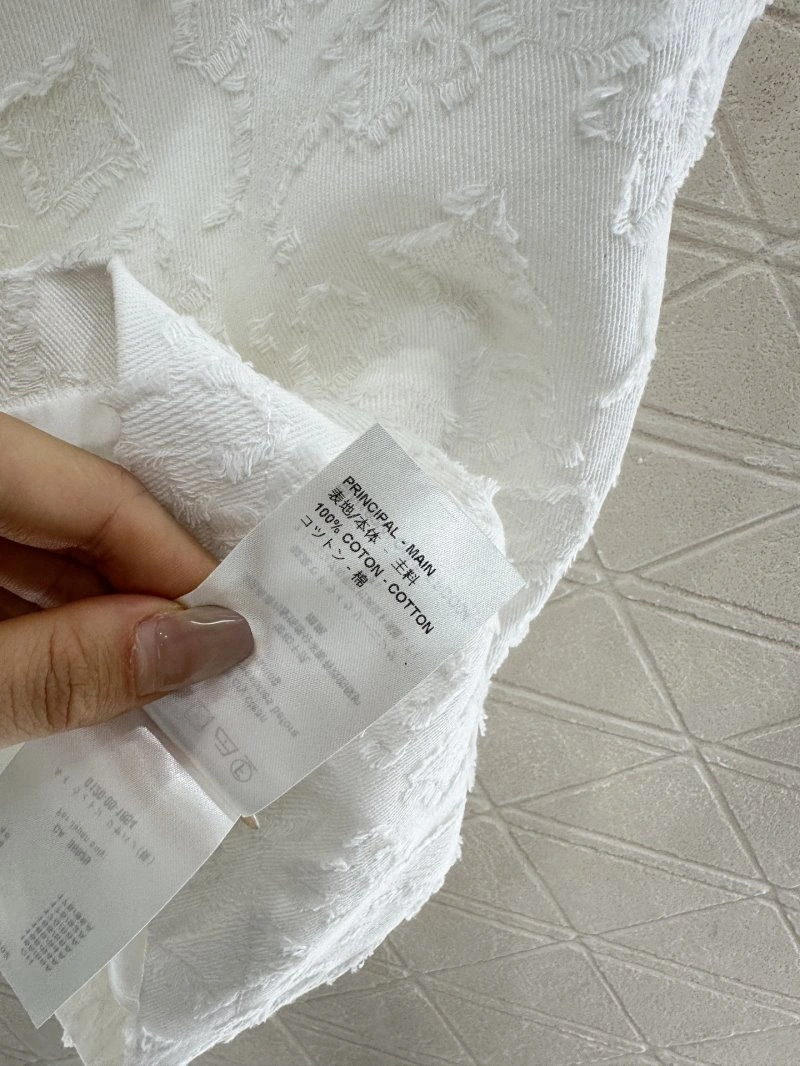 Accurate model Louis Vuitton Dress