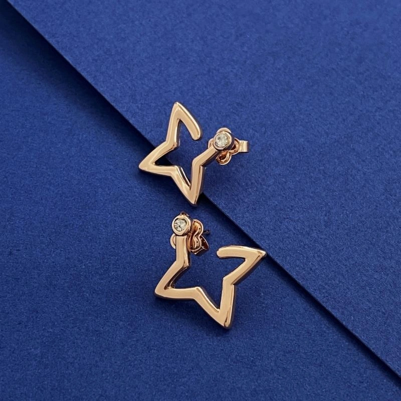 Louis Vuitton Earrings