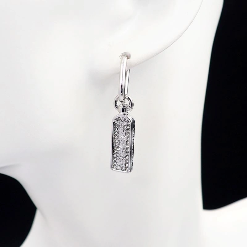 Mirror quality Louis Vuitton Earrings
