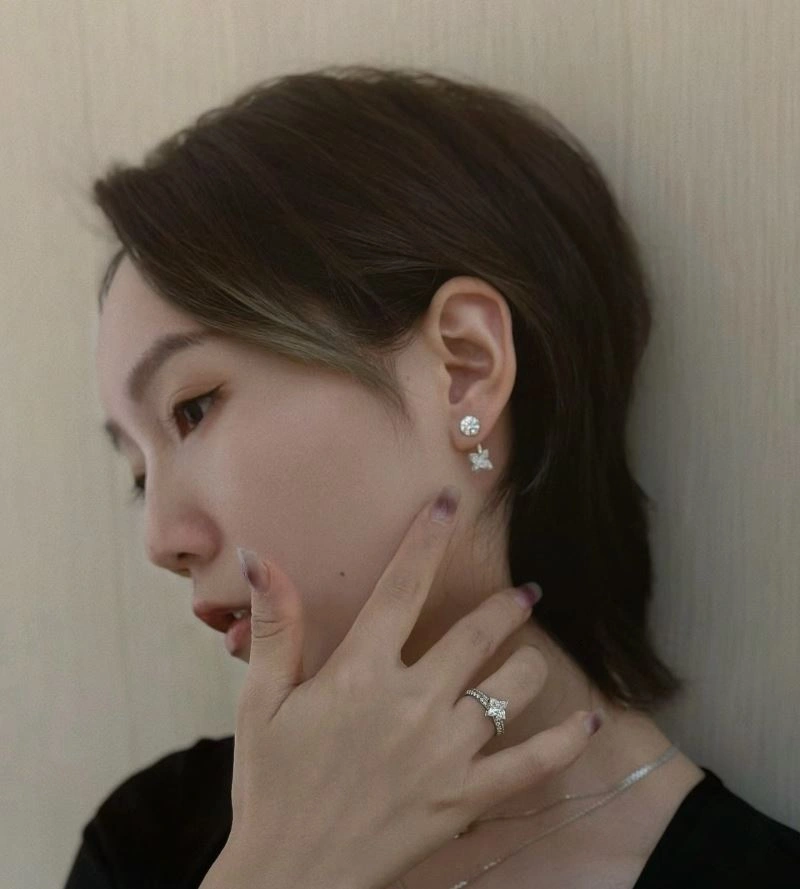 1:1 copy Louis Vuitton Earrings