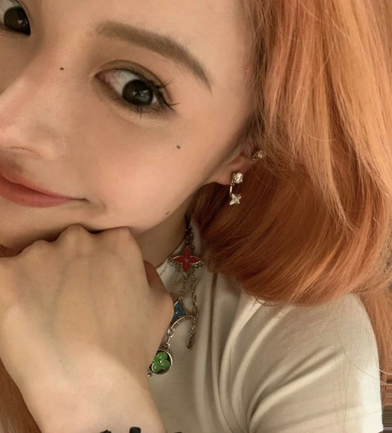 1:1 copy Louis Vuitton Earrings
