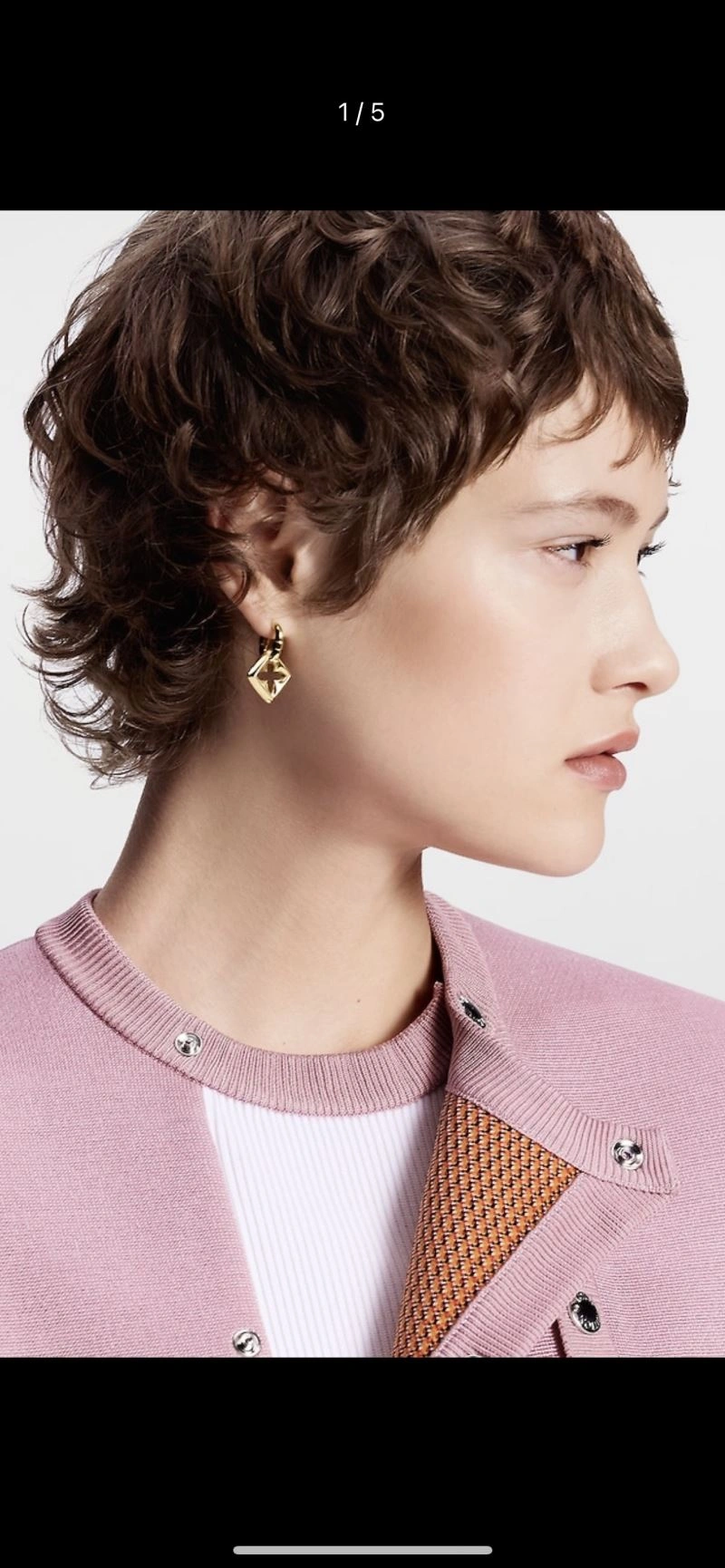 Economical Louis Vuitton Earrings
