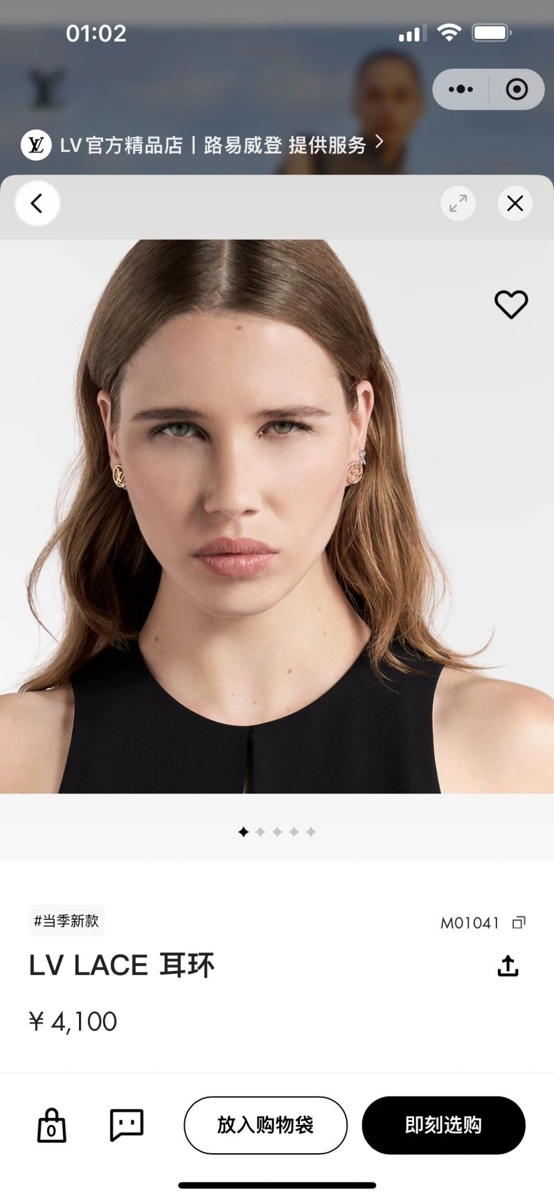 Louis Vuitton Earrings