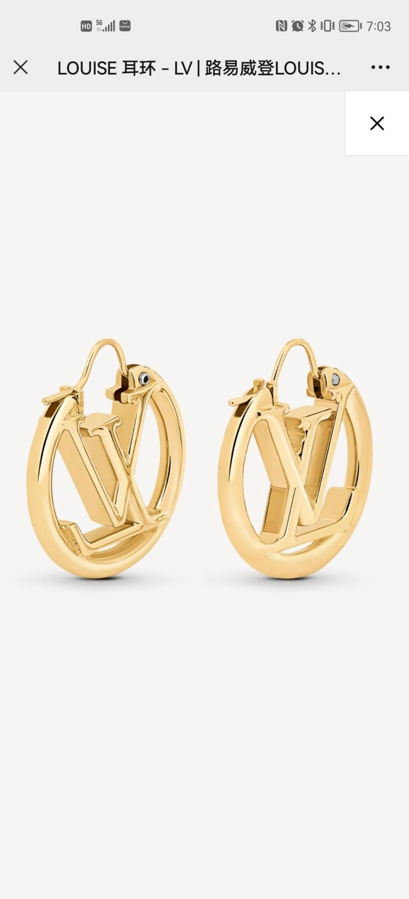 Cut-rate Louis Vuitton Earrings