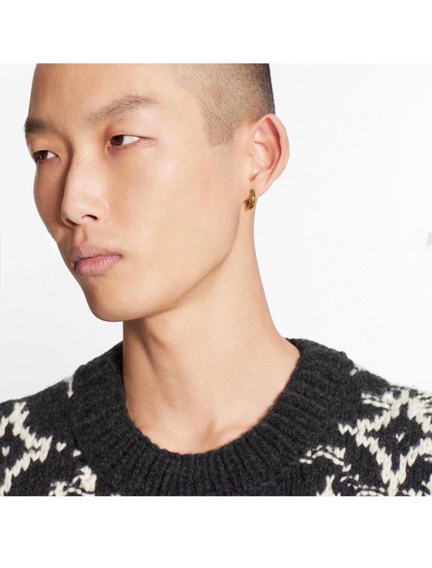 High accuracy Louis Vuitton Earrings